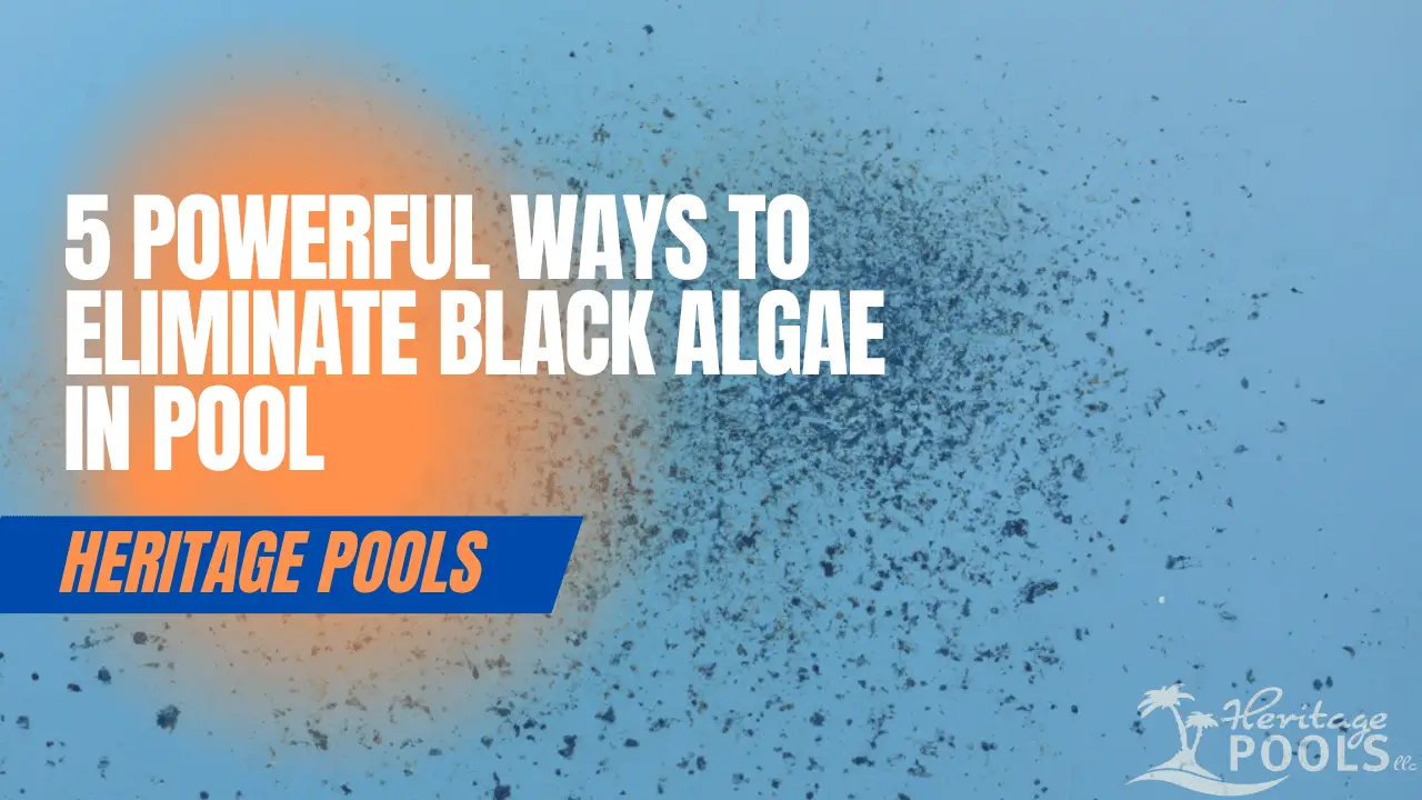How To Eliminate Black Algae in Pool - 4 Powerful Ways